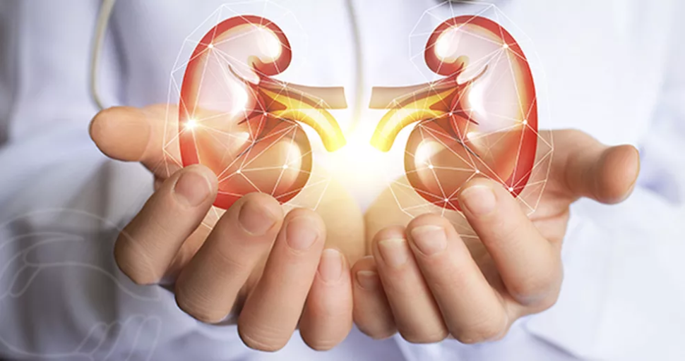 Dia mundial do Rim - Portal C3